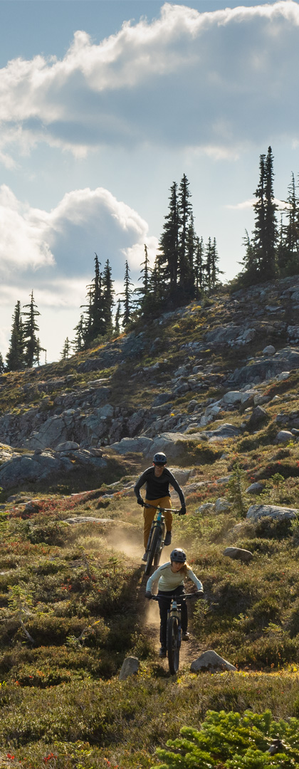 Yeti SB120 - Yeti Cycles