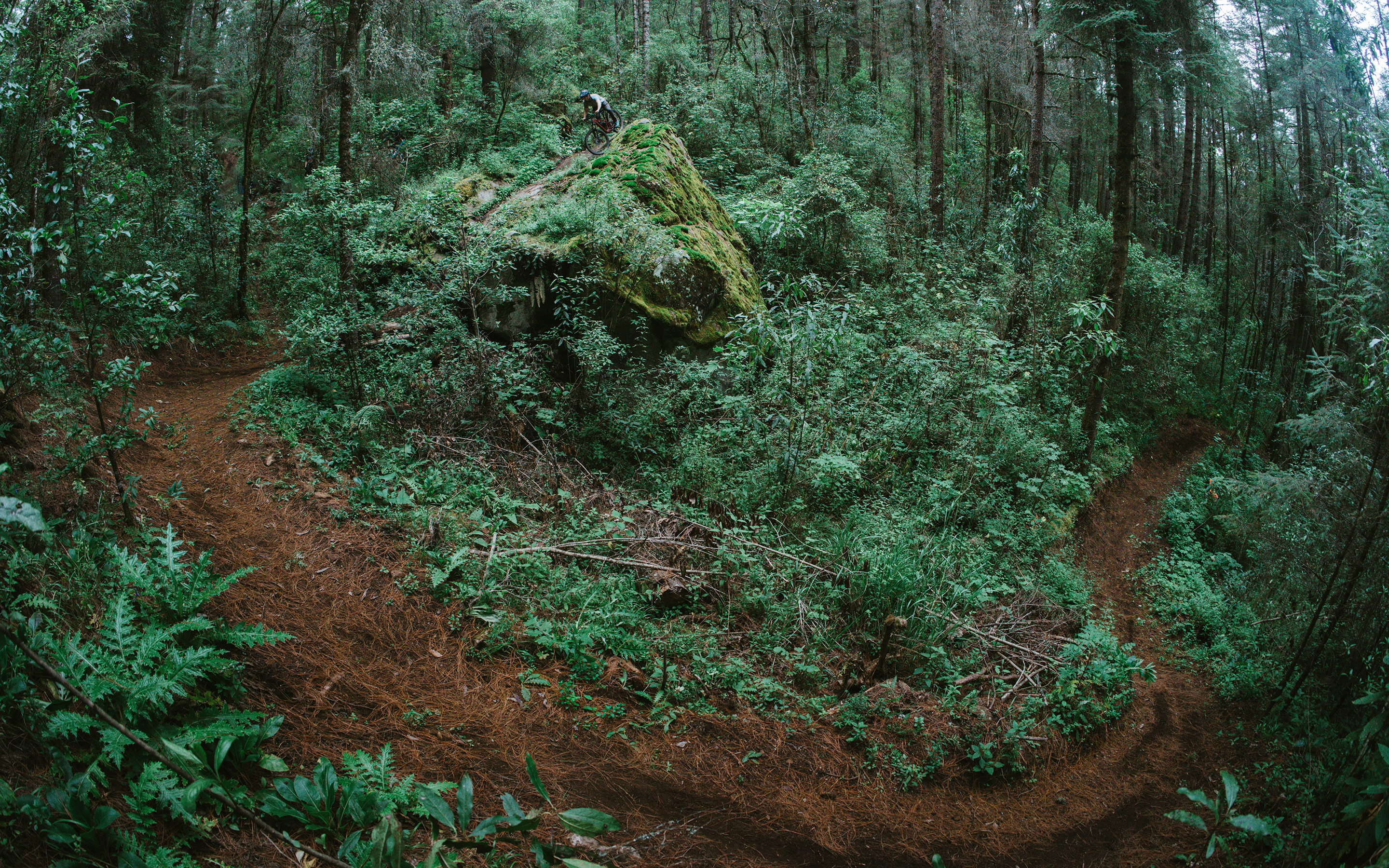 INT'L Gathering Mexico - Yeti Cycles