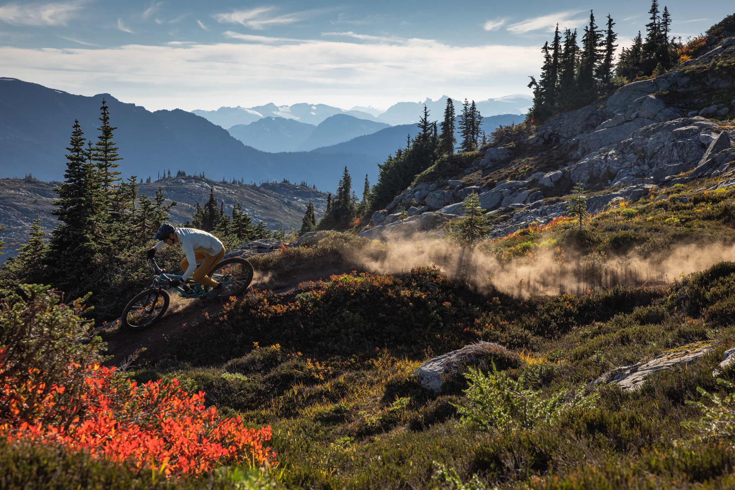 Switch Infinity - Yeti Cycles