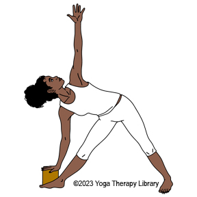Unveiling the Trinity with the Triangle Pose Trikonasana