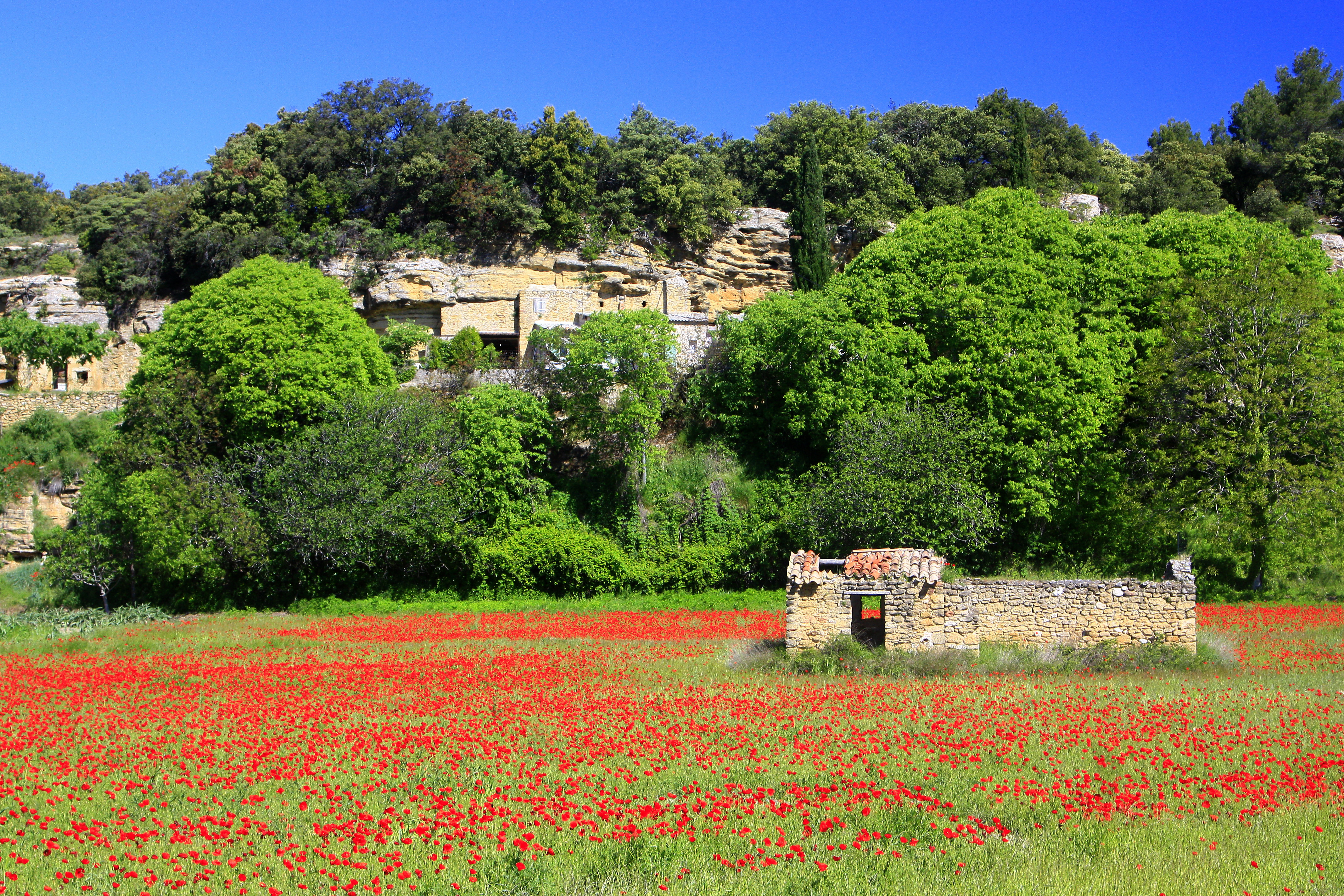 [8 days] Hiking in the Luberon National Park | Yugen Earthside
