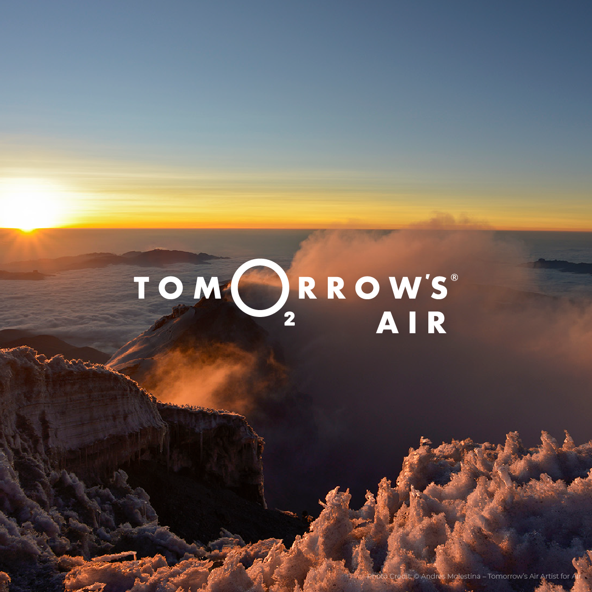 Our Climate Action Partnership with Tomorrow’s Air | Yugen Earthside