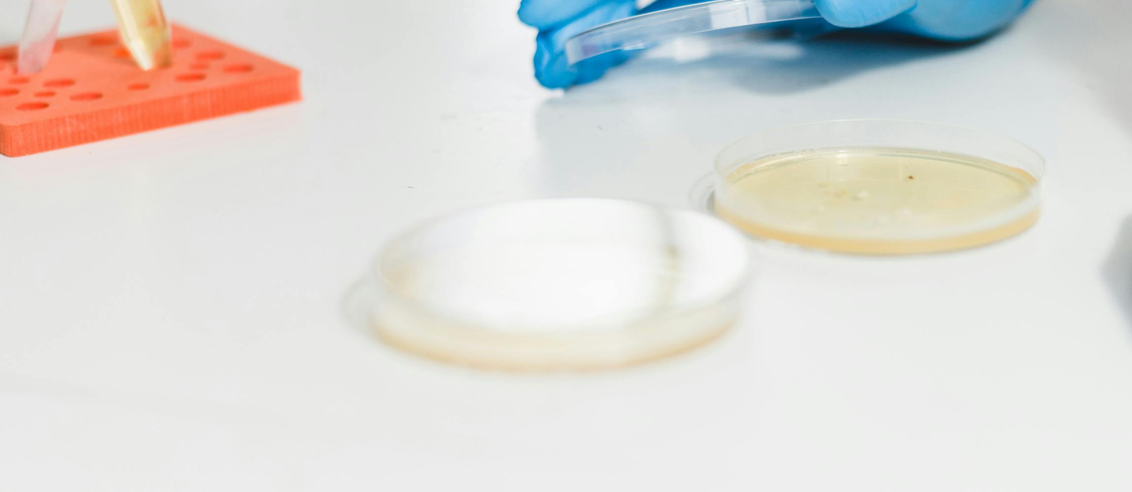 Plasmid Vectors | ZAGENO