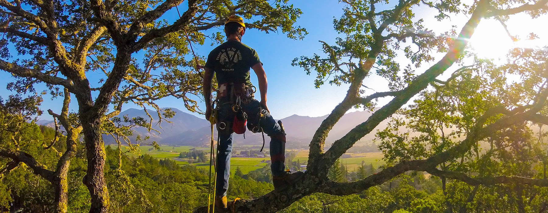 ZaneRay + BigCommerce - ZaneRay