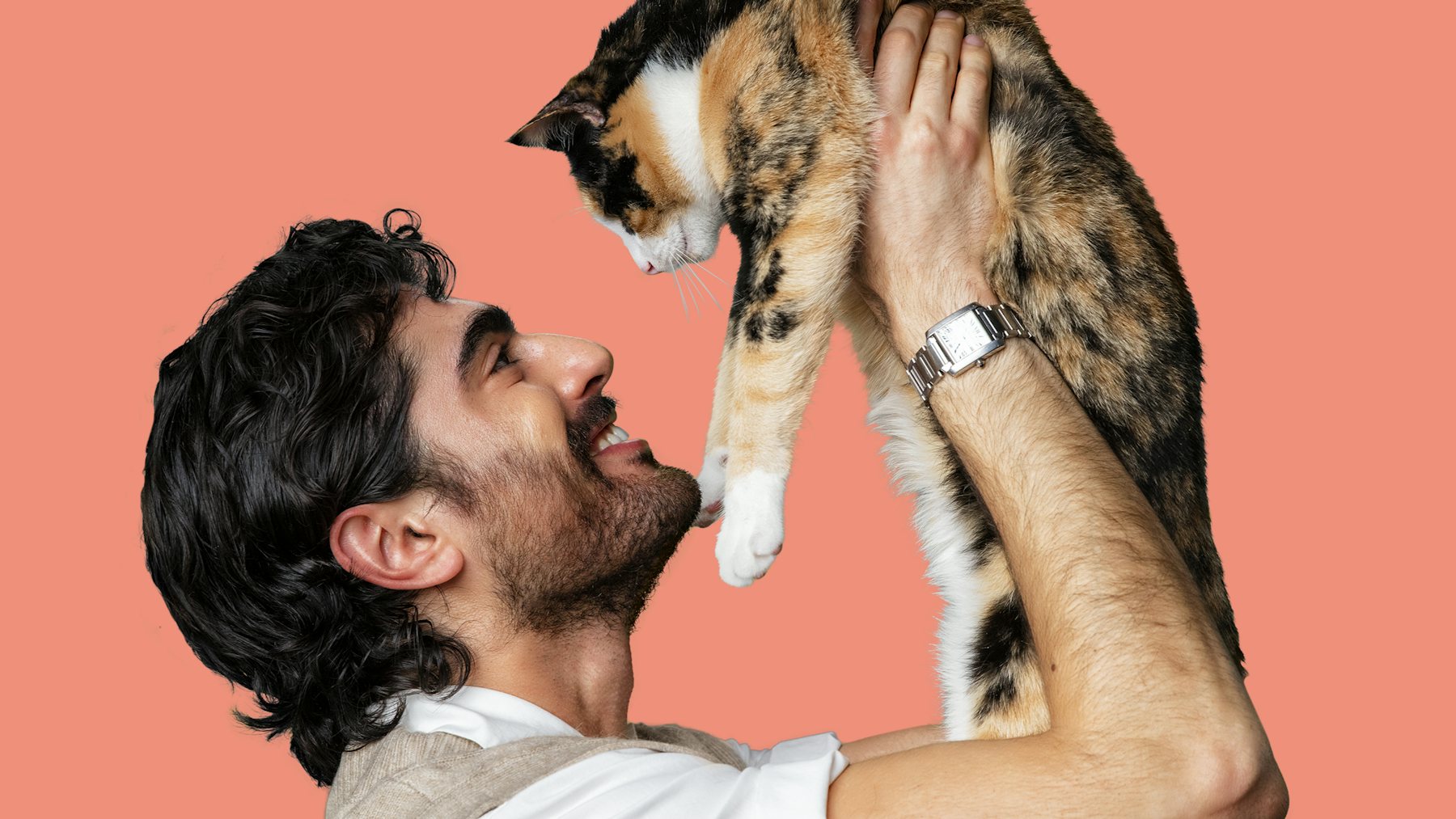 🐶 Petfolk 🐱 | Zero Studios