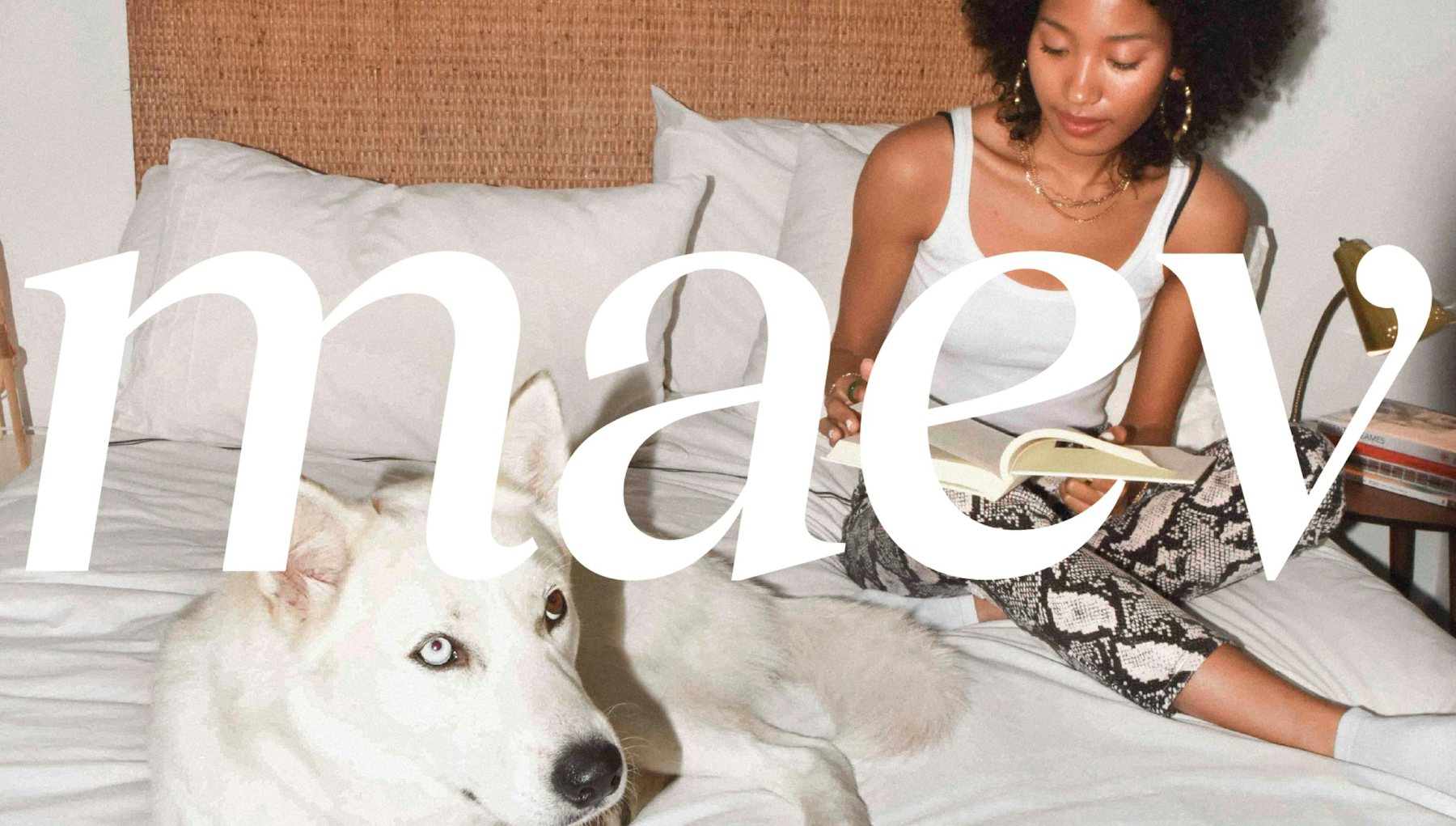 🐶 Maev 🐶 | Zero Studios