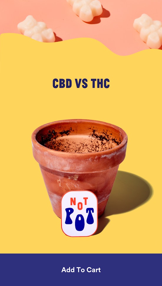 🌿 Not Pot 🌿 | Zero Studios