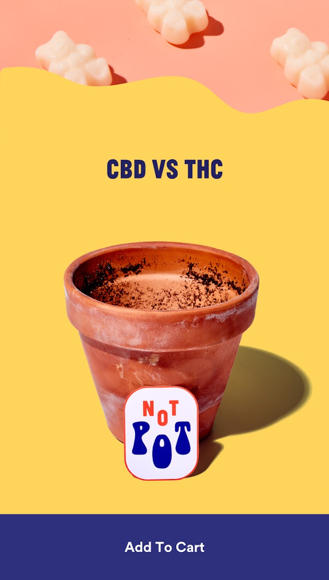 🌿 Not Pot 🌿 | Zero Studios