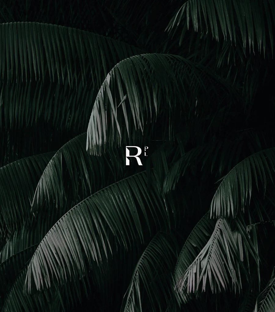 ☯️ Remedy Place ☯️ | Zero Studios
